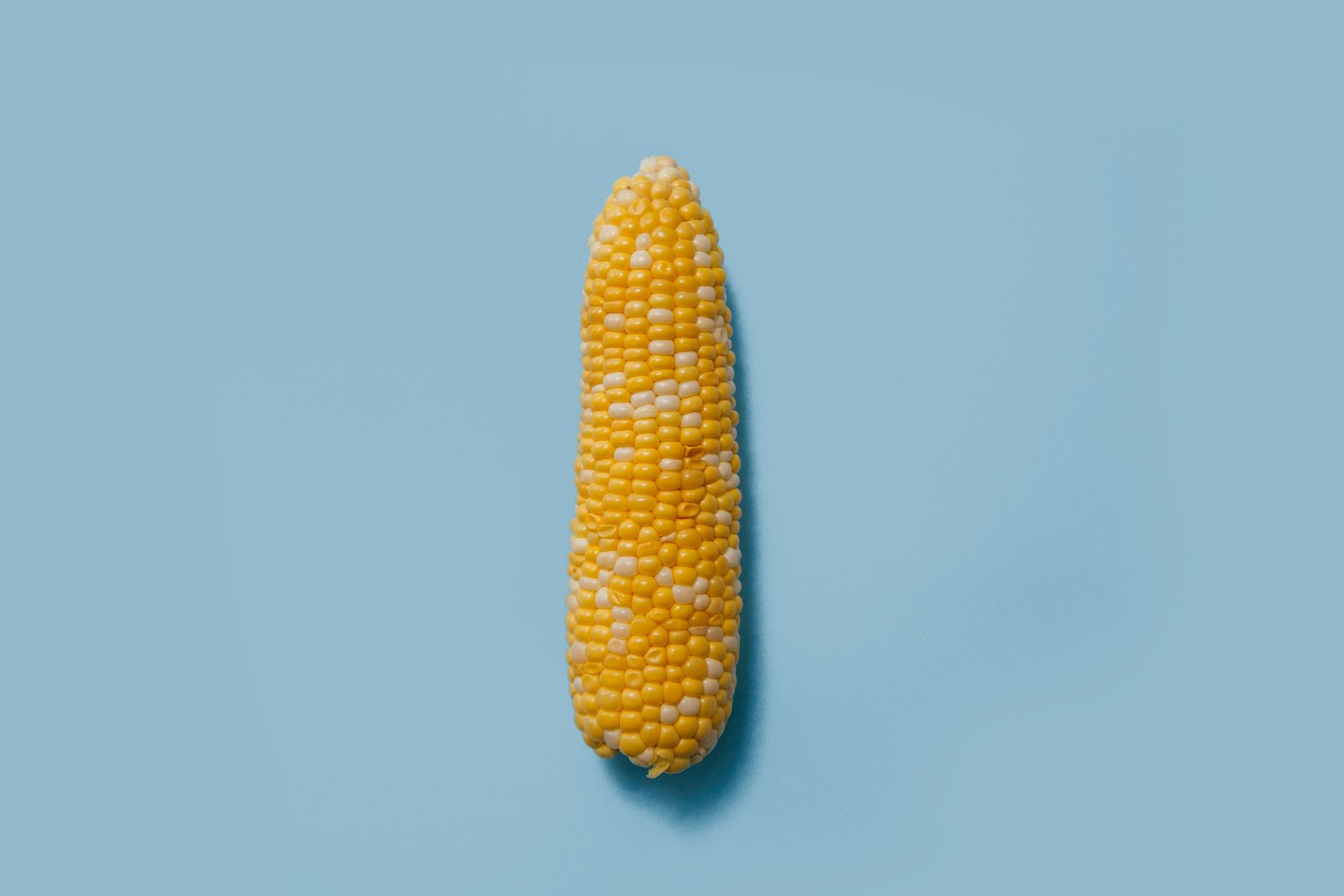 80+ Creative Corn Business Name Ideas to Grow Your Brand