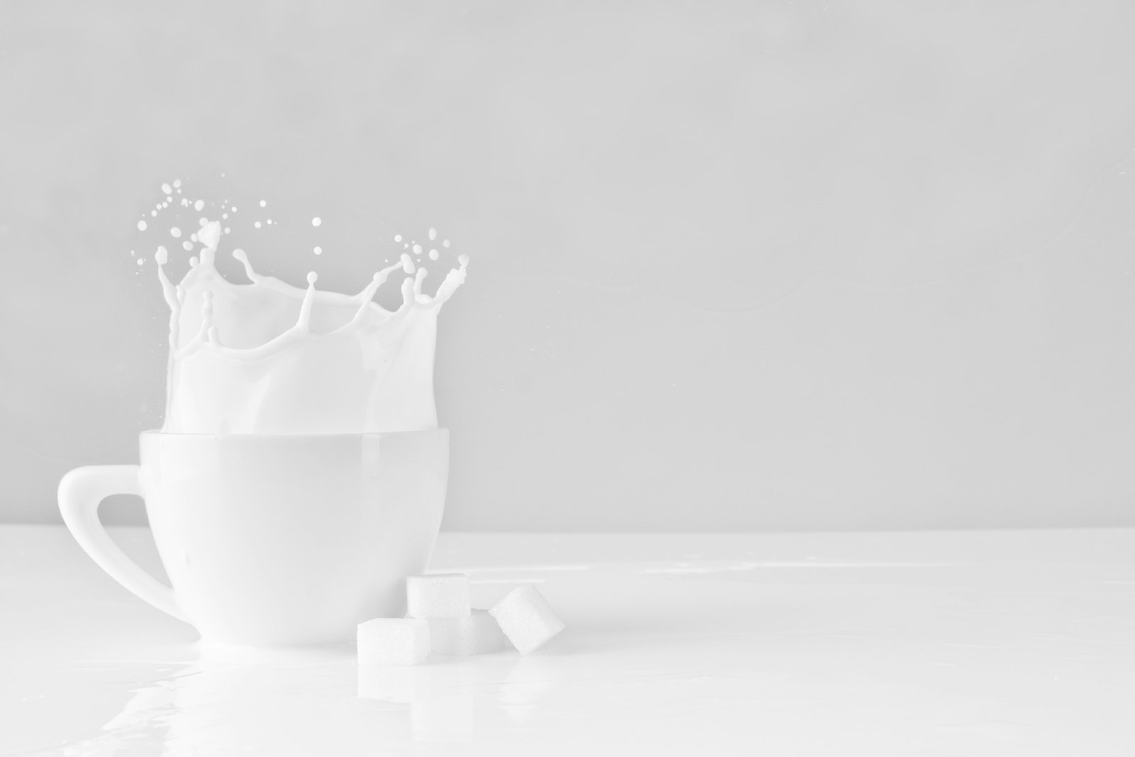 80+ Creative Dairy Farm Name Ideas to Cultivate Your Brand