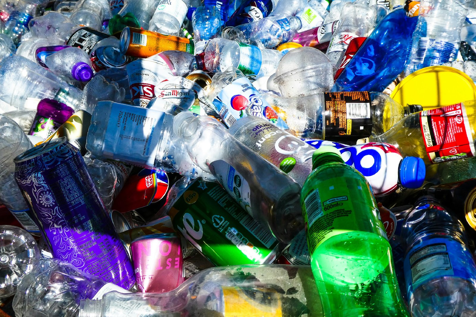 80+ Creative Recycling Business Name Ideas to Revitalize Your Brand