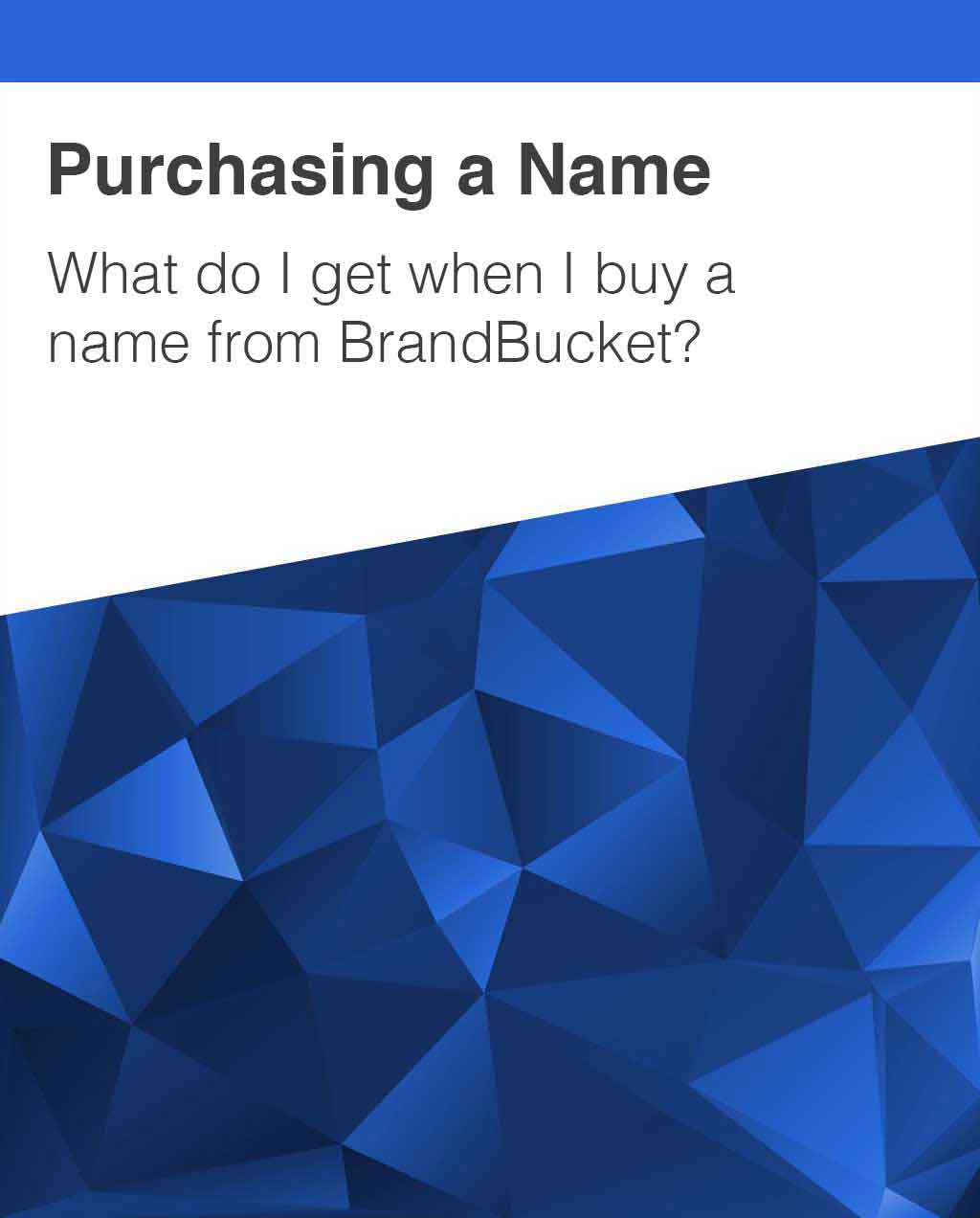 What do I get when I buy a name from BrandBucket? | A BrandBucket Guide
