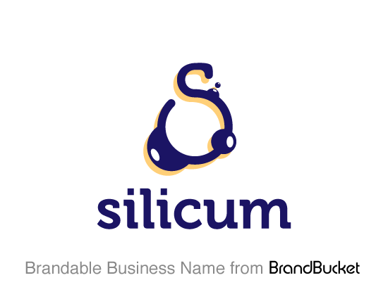 Silicum.com is For Sale | BrandBucket