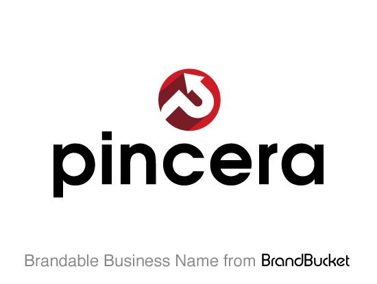 Pincera.com is For Sale | BrandBucket