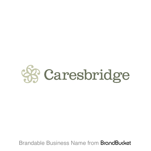 Caresbridge.com is For Sale | BrandBucket